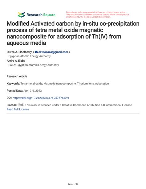 Pdf Modified Activated Carbon By In Situ Co Precipitation Process Of