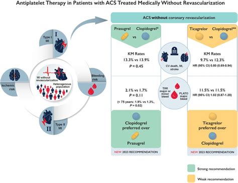 New Focused Update Of The Guidelines For The Use Of Antiplatelet Therapy Canadian
