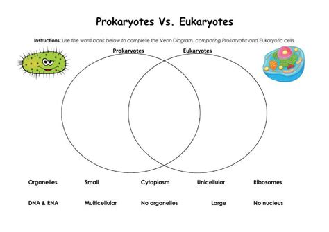 Prokaryotes Vs Eukaryotes Worksheet Live Worksheets Worksheets Library