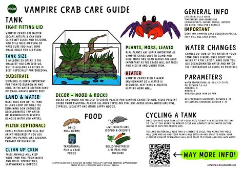 Contact Reach Us Now — Indoor Ecosystem