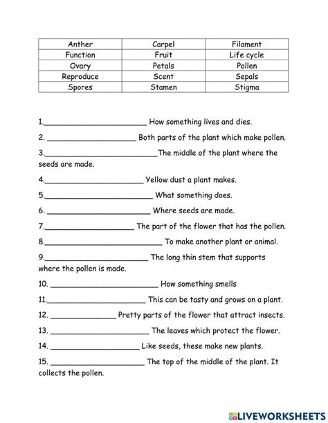 Parts Of A Plant Worksheet For Kg Free Worksheets Printable