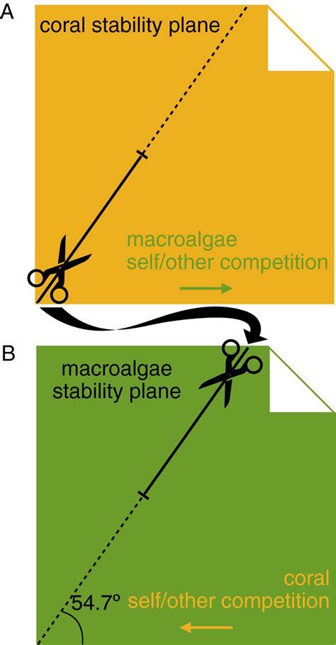 Regime Shift Origami The Community Stability Of A Coral Yellow Vs