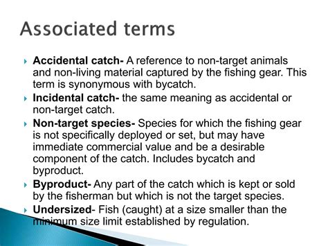 Bycatch Reduction Devices Pptx