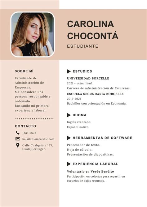 Curriculum Para Prácticas Profesionales Ejemplos Canva