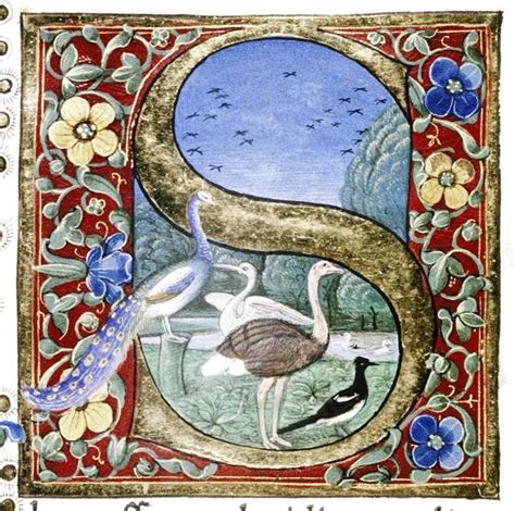 Medieval Art Illuminated Manuscript Illuminated Letters