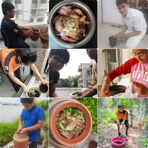 Grade Viii Dps Bopal Ahmedabad Some Glimpses Of The Compost Pit
