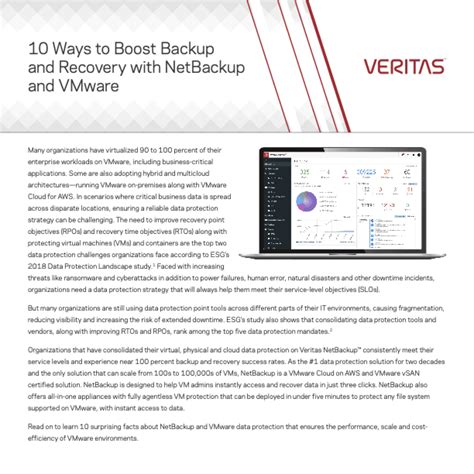Veritas Netbackup Performance Technologies