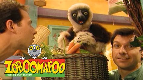 Zoboomafoo 123 Bears Full Episode Youtube
