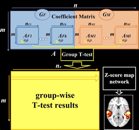 The Computational Framework Of Group Wise Statistical Analysis Download Scientific Diagram