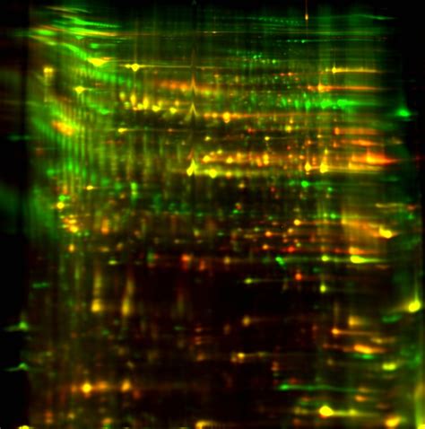 Hcp Profiling Analysis Applied Biomics