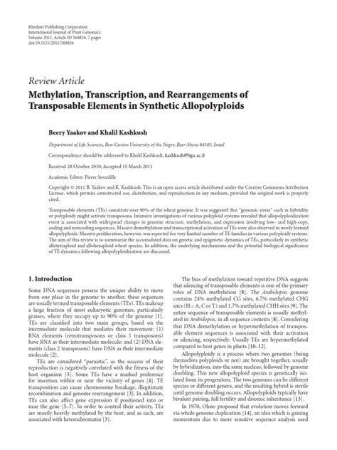 Methylation Transcription And Rearrangements Of Transposable Elements In Synthetic