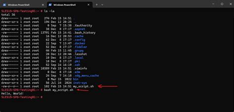 Linux Execute Shell Scripts Source Scriptsh Vs Scriptsh Vs Exec Scriptsh Vs Bash
