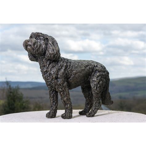 Standing Cockapoo ‘leo