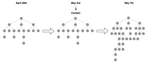 The Effect That A Single Contact Had On A Recruitment Tree Of A Seed