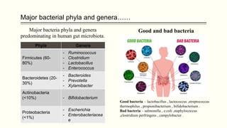 Gut Microbiome Pptx