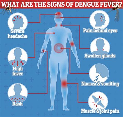 Dengue Hemorrhagic Fever With Warning Signs