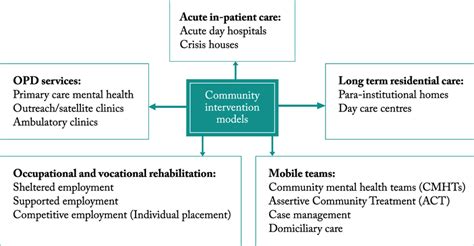 Overview Of Various Community Intervention Models Download Scientific