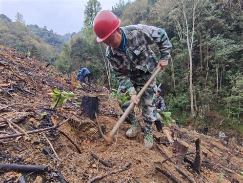 遂川 全国最美生态护林员”蓝先华：护林让我脱了贫，我要让大山更绿凤凰网江西凤凰网