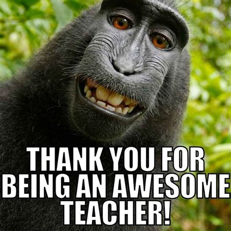 Get Ready To Lol The Best Teacher Memes Collection Teacher Memes
