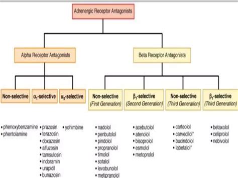 Sympathomimetics Adrenergics Sympatholytics Pptx
