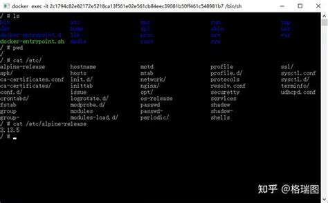 Windows 容器化 安装 Docker 知乎