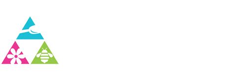 Bee Allergy And Anaphylaxis Australia