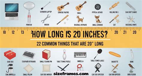 How Long Is 20 Inches 22 Common Things That Are 20 Long