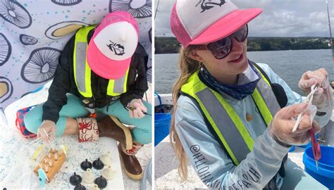 产品在现场：鲨鱼研究过滤器（单片型）