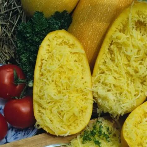 Тыква сквош — овощ с хитринкой Огород сад балкон Медиаплатформа МирТесен