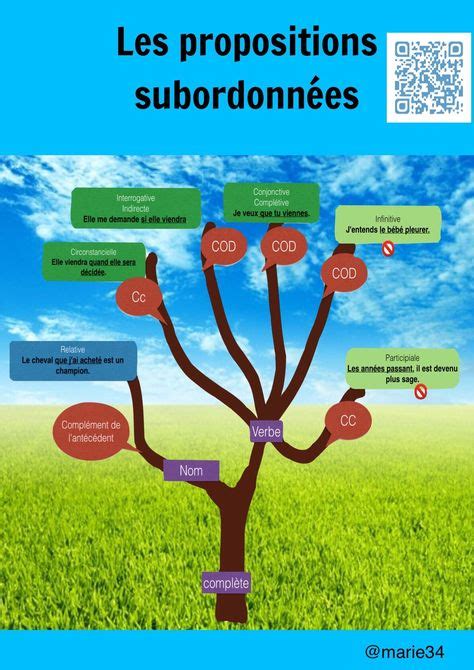 Les Propositions Subordonnées Concours Crpe France Carte Mentale