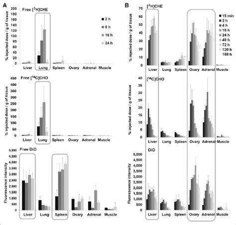 Quantitative Tissue Distribution After Injection In Mice Of Freely