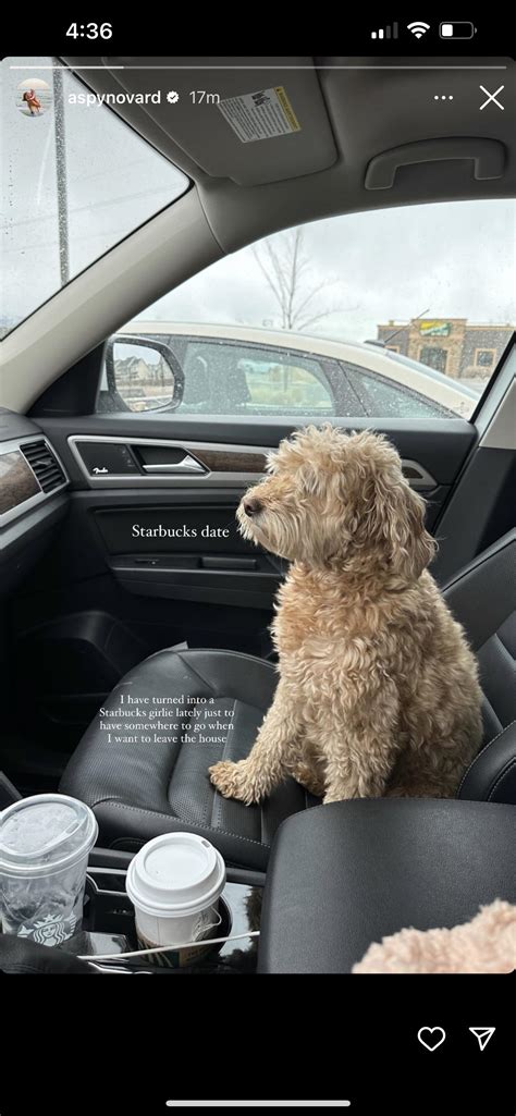 75 Best Aspyn Images On Pholder Aspynovardsnark Tl Csisterwives And Sister Wives