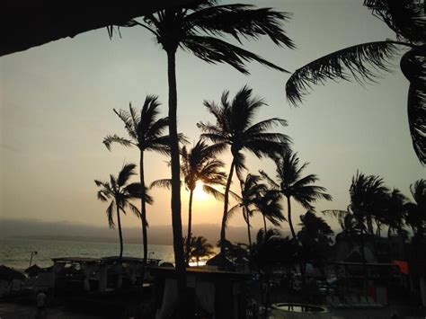 Sex Psychology Cam Model Profile Stripchat