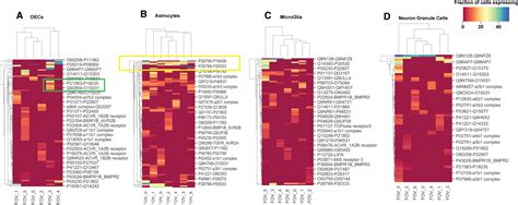 Cell Type Modeling In Spatial Transcriptomics Data Elucidates Spatially Variable Colocalization