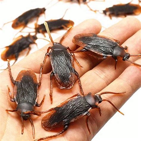 20 Pcs April Fools Day Simulation Cockroach Realistic Cockroach Trick