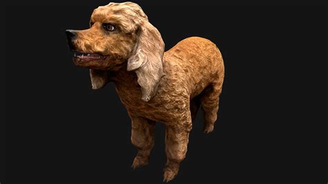 3d Model Dog Cockapoo Cocker Spaniel Mix Poodle Turbosquid 2066970