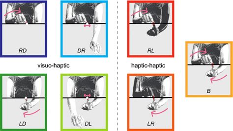 Seven Different Matching Tasks In Experiment 2” Section Four Tasks Download Scientific