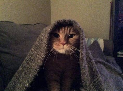 This Is Pooky She Wasnt Very Nice She Hated Her Brother But We Still