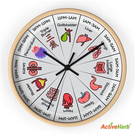 Is It Time For A Tcm Organ Reset Using The Tcm Clock For Yin Yang