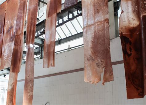 Bioplastics 5 Projects That Explore Its Different Uses Designwanted