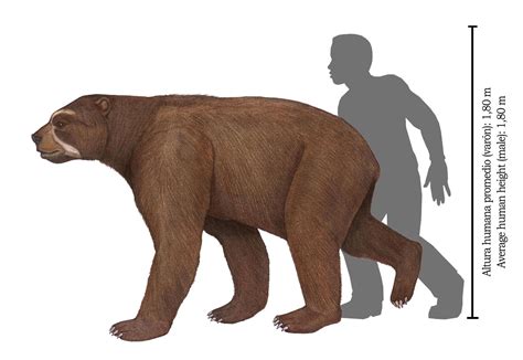 Short Faced Bear Size Comparison