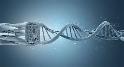 The Science Of Muscle Health Aging And Longevity A Comprehensive Guide Dr Pradeep Albert