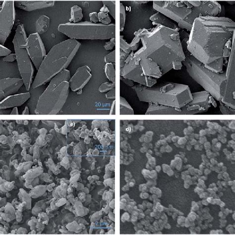 Dsc Curves Of Pure Hmx Pure Cl 20 And A Mixture Of The Two Explosives Download Scientific