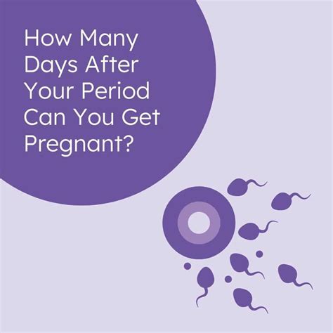 Proov Test Review Must Read This Before Buying