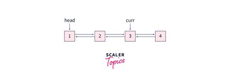 Doubly Linked List In C Scaler Topics