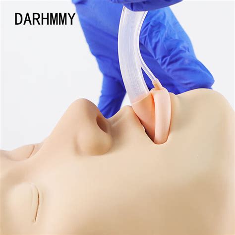 Bou Ck1261 Cricothyroid Puncture And Incision Simulation Model Darhmmy Manufacturer Of Human