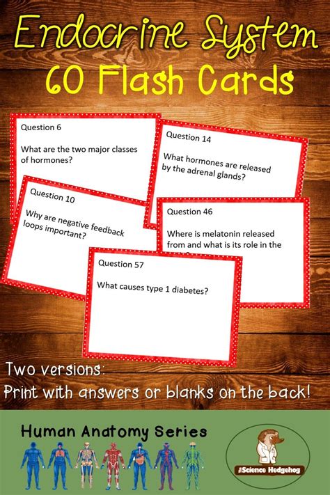 High School Classroom Flash Real