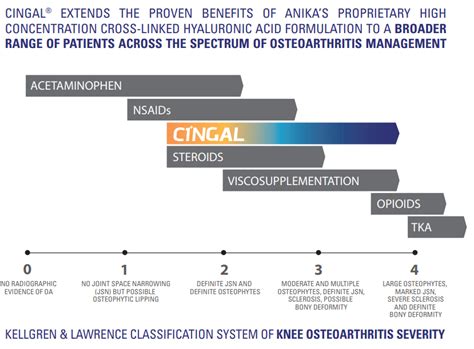 Cingal® Patient Guide Scan Clinic London
