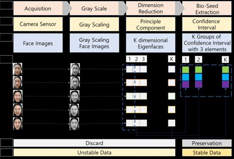 The Proposed Bio Seed Extraction Process St Step Name Cm Chosen