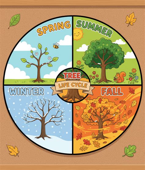 Tree Life Cycle Seasons Wall Display Worksheet Download And Print Now